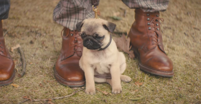 Watch 'Kingsman: The Secret Service' Roll Out The Puppies