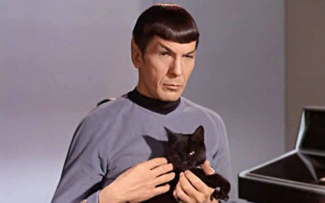 'Star Trek': Ranking The Spin-Offs And Reboots That Almost Were