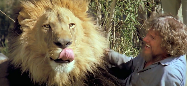 Review: Drafthouse Re-Release Of 'Roar,' Directed By Noel Marshall