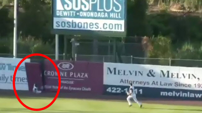 Watch The Wall Fall On Top Of This Outfielder After He Crashes Into It