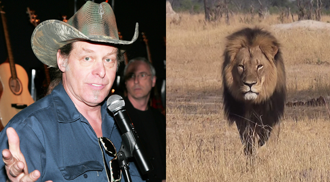 Ted Nugent Cecil The Lion Thoughts: 'This Whole Story Is A Lie'
