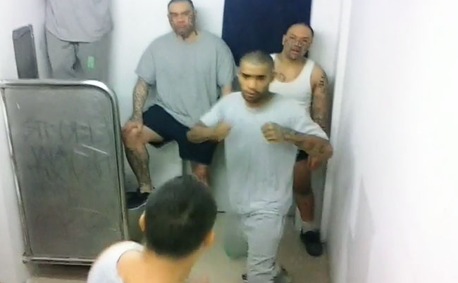Leaked Prison Fight Club Videos Are Causing Outrage In New Zealand