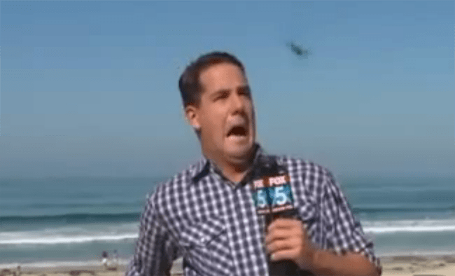 [VIDEO] Local News Weatherman Faces A Bug And Has A Freakout