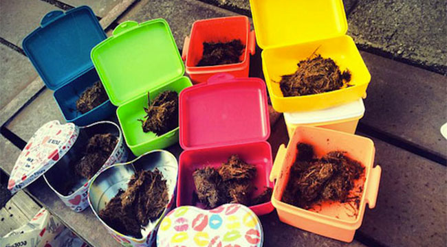 The 10 Most Ridiculous Companies