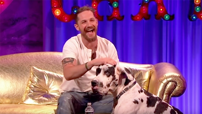 VIDEO: Tom Hardy And His Adorable Dog Invade A Talk Show
