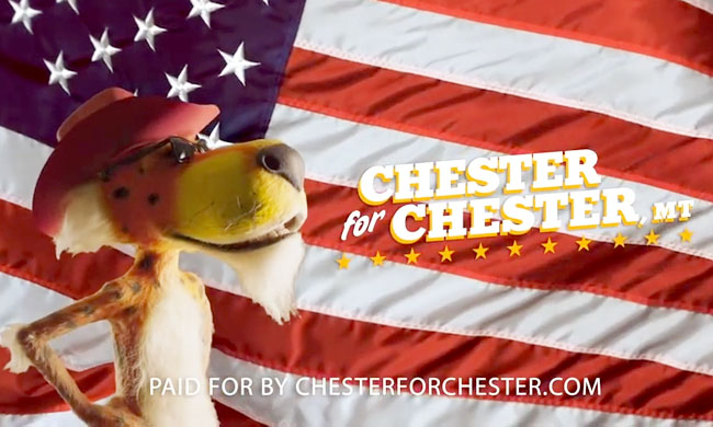 Cheetos Mascot Chester Cheetah Is Running For Mayor Of Chester Montana