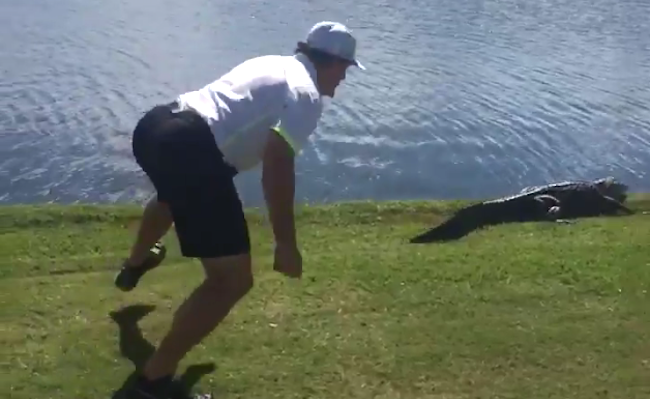 Watch Jeremy Roenick Try To Wrestle An Alligator On A Golf Course