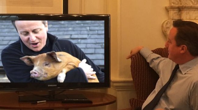 David Cameron's Space Watch Turns Into A Meme