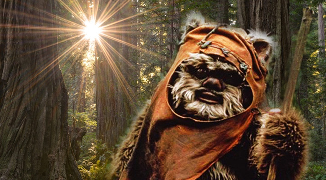 Ewoks Are More Terrifying Than You Ever Imagined (VIDEO)