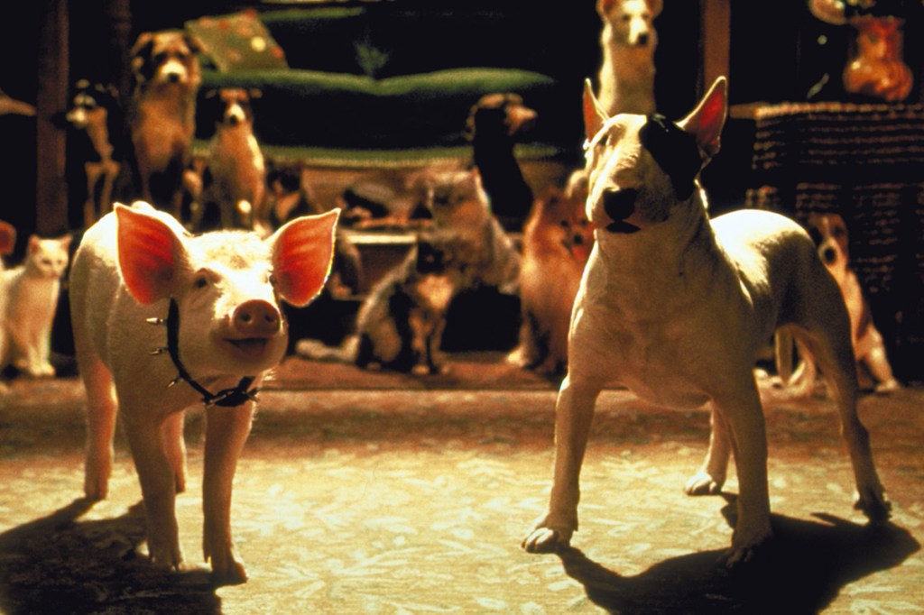 The true story of George Miller, Stanley Kubrick, and the talking pig