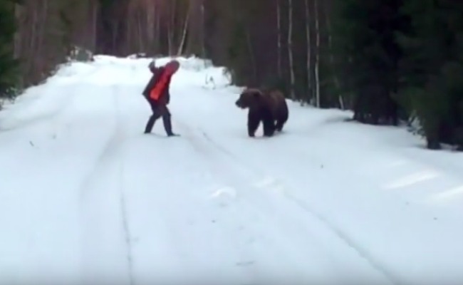 This Roaring Swedish Man Will Show You How To Fend Off A Bear Attack