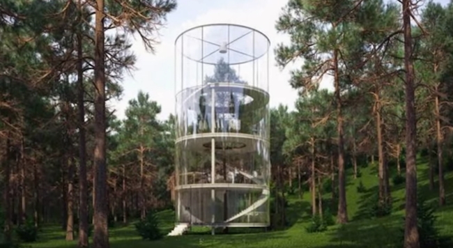 [VIDEO] Meet The Glass-Enclosed Treehouse With A Tree At its Core