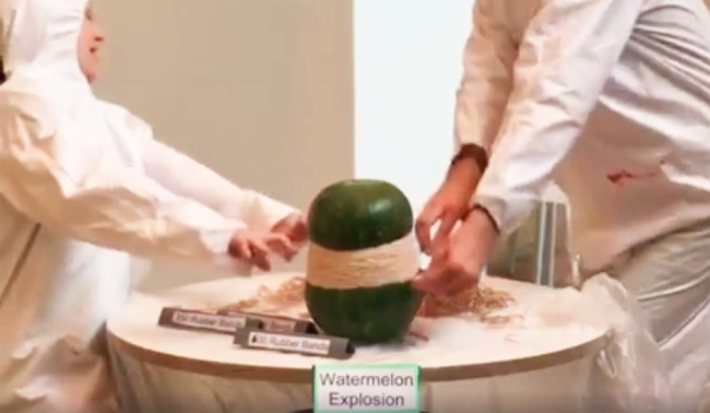 More People Watched This Watermelon Explode Than Some TV Shows