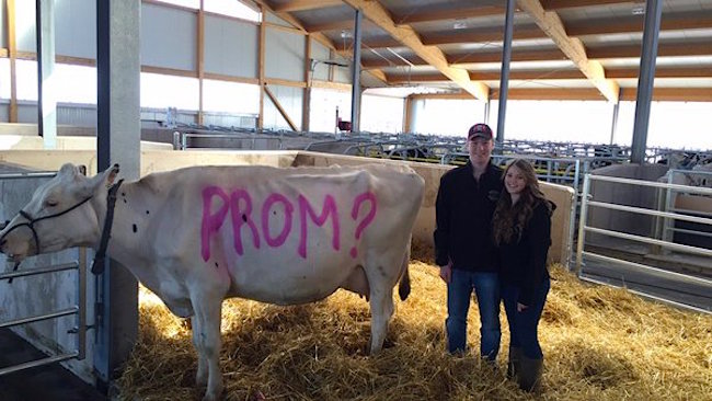 A High School Student Uses Livestock To Seal The Promposal Deal
