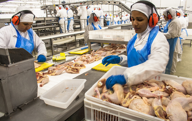 Chicken Plant Workers Wear Diapers Because They Can't Take Breaks