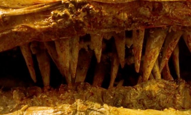 'Drain Babies' Is A Horror Comedy About Giant, Mutated Killing Sperm