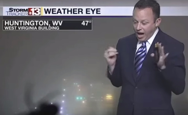 WATCH This Weatherman Loses His Mind When A Spider Invades His Screen