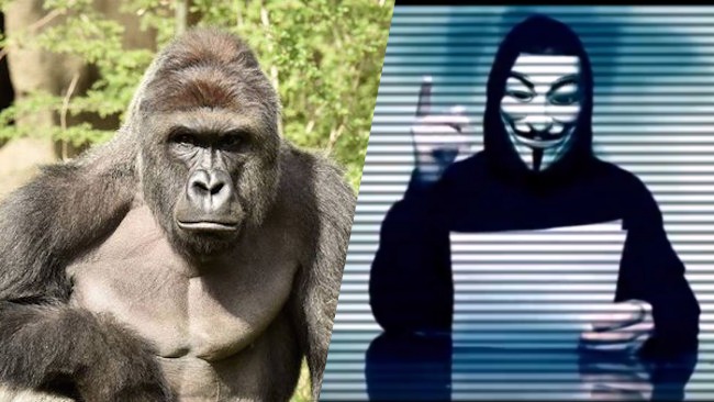 'Anonymous Ohio' Demands Investigation Of Mom In Zoo Controversy