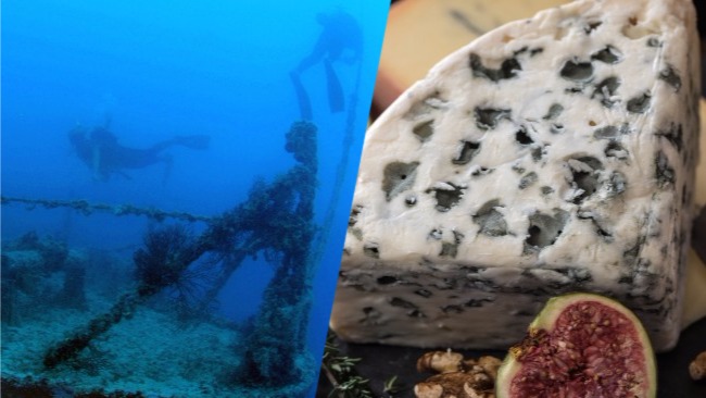 340-year-old Cheese Discovered In Swedish Shipwreck