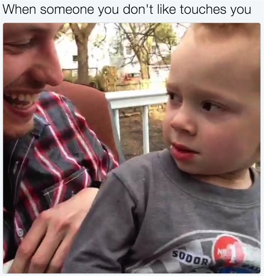 The Most Hilarious Gavin Memes Invading Social Media