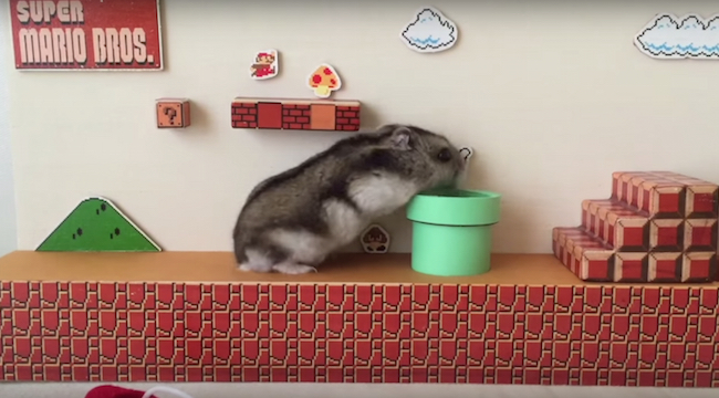 'Super Mario Bros.' Is Even Better When Hamsters Are Involved