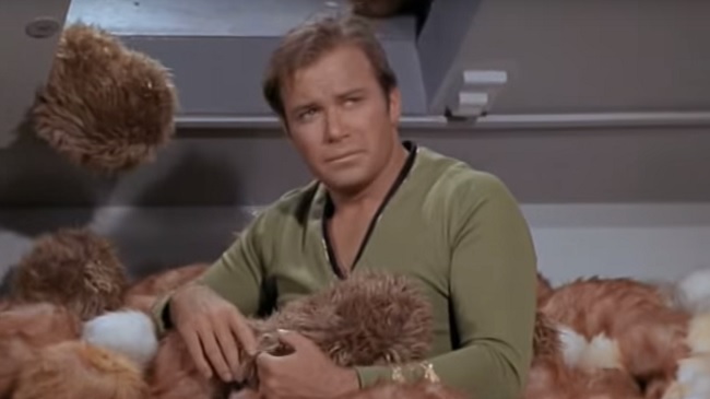 'Star Trek' Tribbles Inspired By Australian Rabbits' Breeding Habbits
