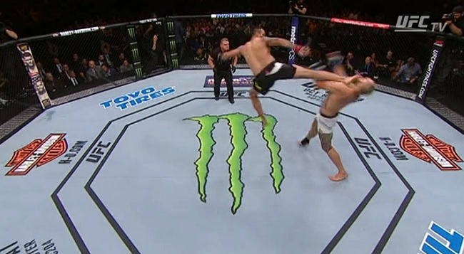 A Heavyweight Fight Opened With A Flying Jump Kick At UFC 203
