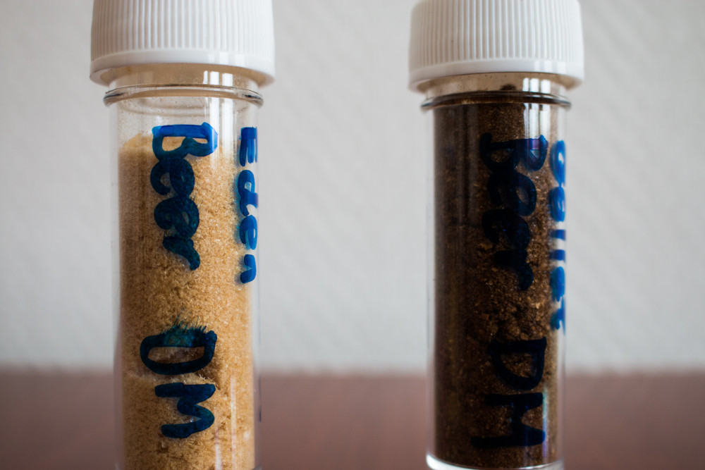 A Beer Brewing Powder Is About To Change The Home Brewing Game