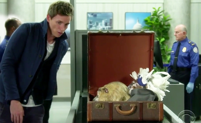 [WATCH] Eddie Redmayne 'Late Late Show' 'Fantastic Beasts' Video
