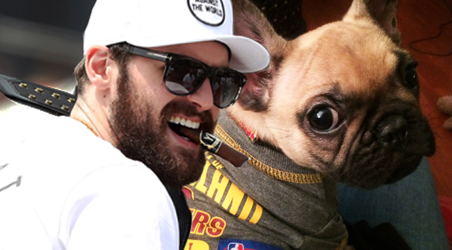 The Story Of A Dog Named Kevin Love Is Very Good And Important