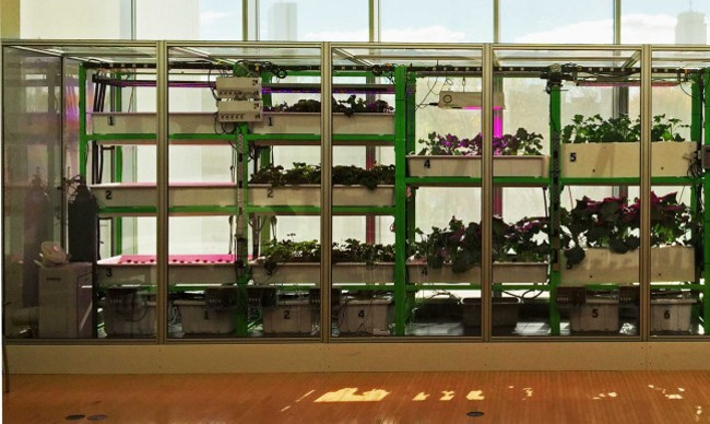 MIT's Food Computer Makes Farming As Simple As Texting