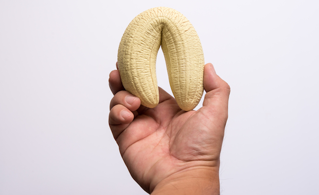 Humans Lack Penis Bones Due To Quick Sex And Monogamy