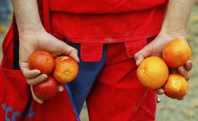This Town In Italy Celebrates Carnival By Hurling Oranges At People