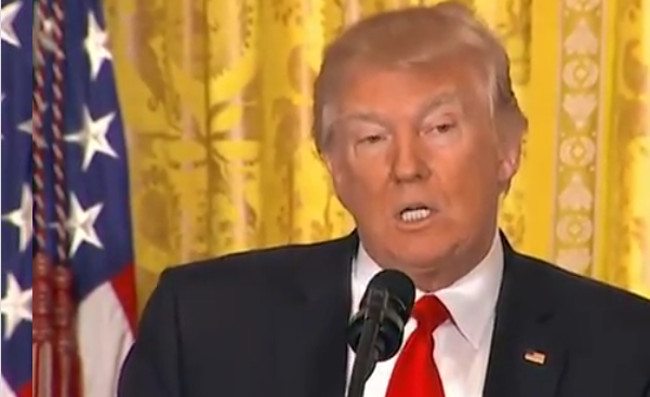 Trump's 'Fine-Tuned Machine' Fascinates The Internet