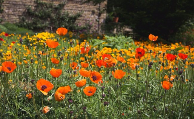 Celebrate Spring With The Most Beautiful Gardens In The World