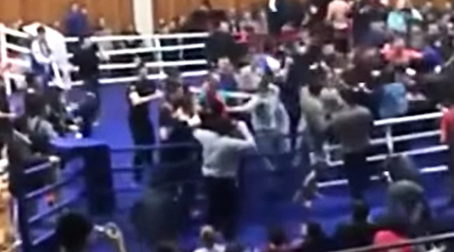 A Heated MMA Bout Escalated Into A Huge Ring Crashing Donnybrook