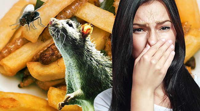 A Treasury Of The Gross S*it People Have Found In Their Food