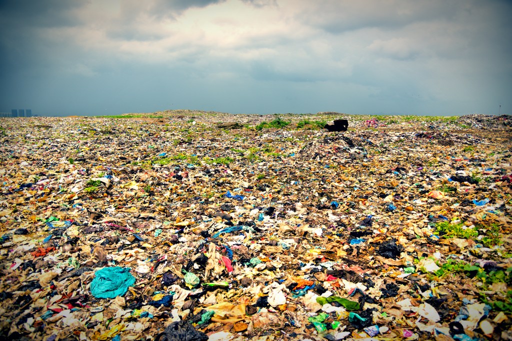 3 Easy Steps To Cut Your Trash In Half