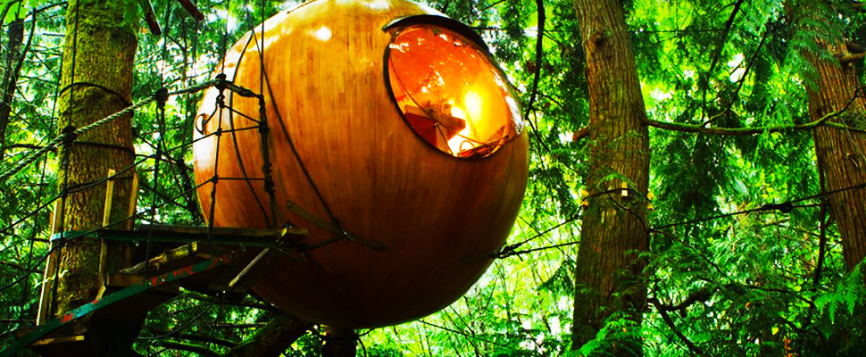 Summer 2017: Wildest Hotels To Stay In