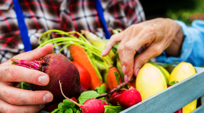 Can We Fix Our Broken Food System Uproxx