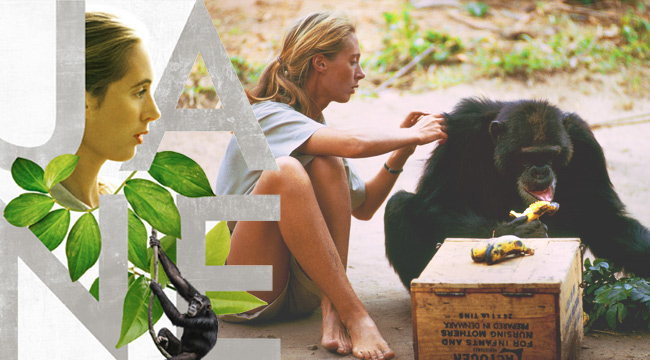 National Geographic's 'Jane' Uses Music To Reveal Humanity's Wild Side