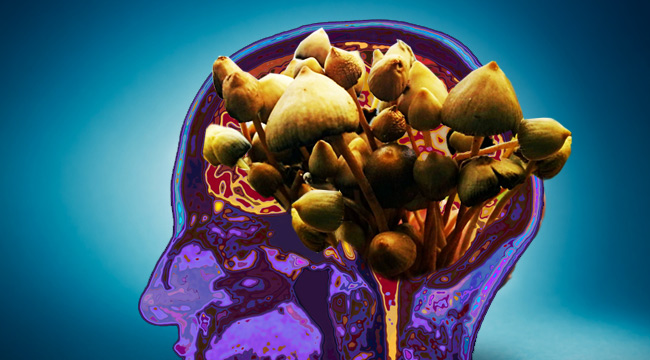 Magic Mushrooms May Help Depression By 'Resetting' The Brain