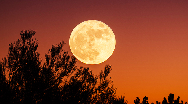 When Is The Supermoon And How Can You Instagram It?