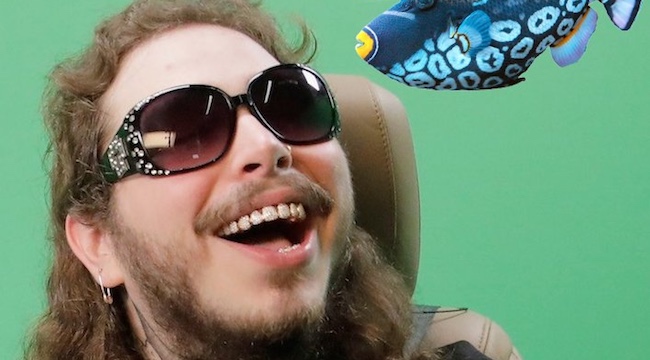 Post Malone's 'FishCenter' Adult Swim Appearance, Bitten By A Fish