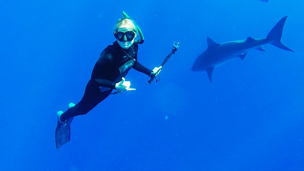 This Marine Biologist Wants To Change The Way We See Sharks