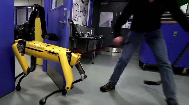 Watch A Man Fend Off The Latest Door-Opening Boston Dynamics Robot