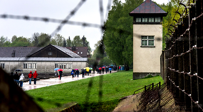Germany Considers Mandatory Nazi Death Camp Tours to Fight Alt-Right