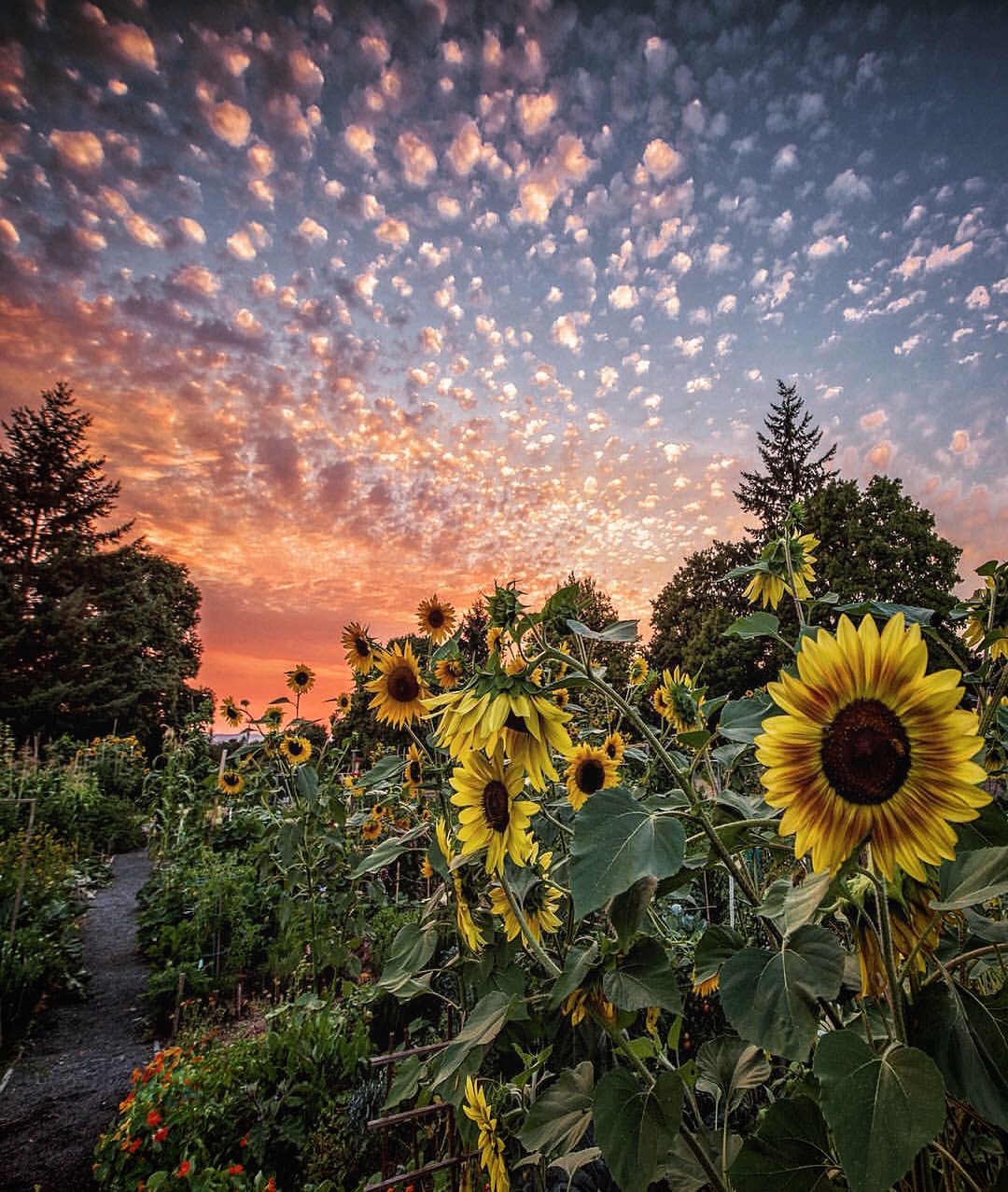 The Best Beginner Photography Tips From A Professional