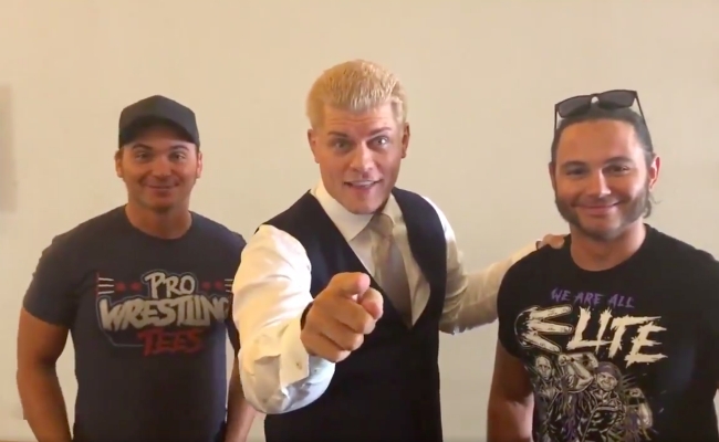 Watch The Promos AEW Asked Their Fans To Cut As "The Librarian"