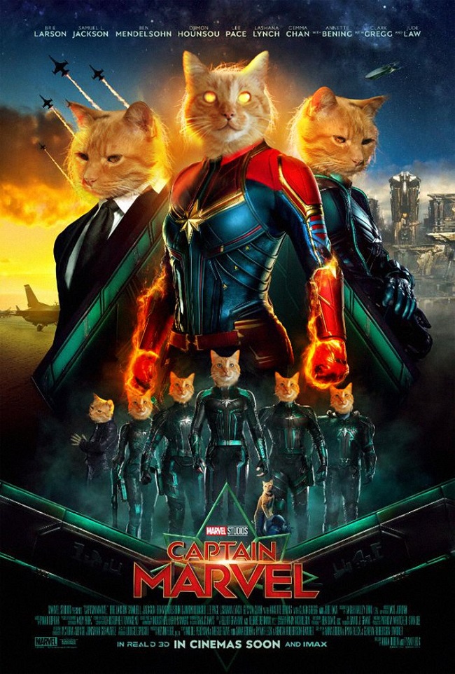Funniest, Best Tweets About 'Captain Marvel' Cat Meme In South Korea